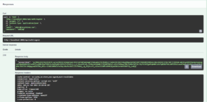 How to Configure OpenAPI 3 Spec with Basic & JWT Authentication - JAVA CHINNA